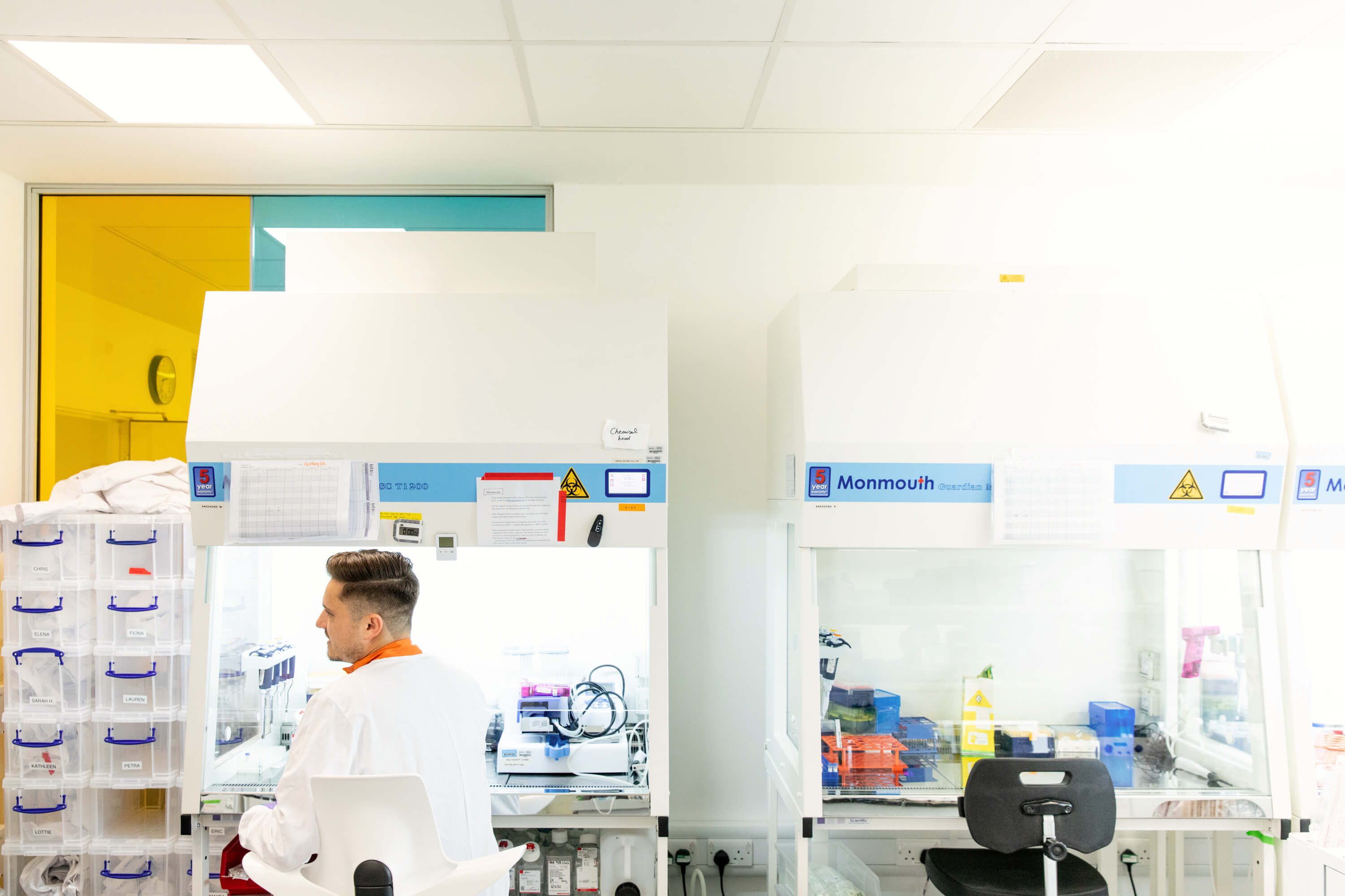 iPSC-derived cells for research and drug discovery | ioCells | bit.bio